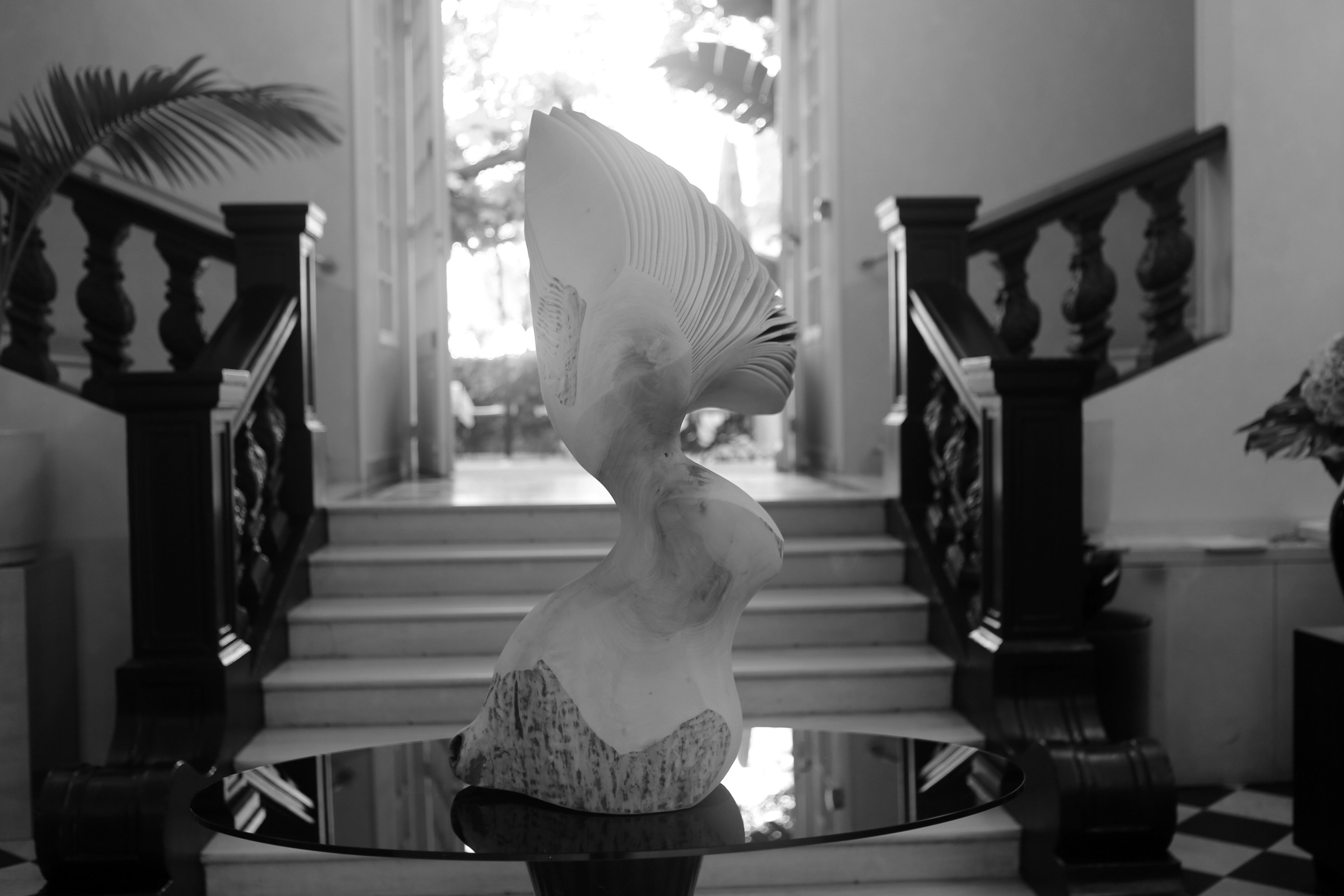 Lars Zech - Galerie Sol